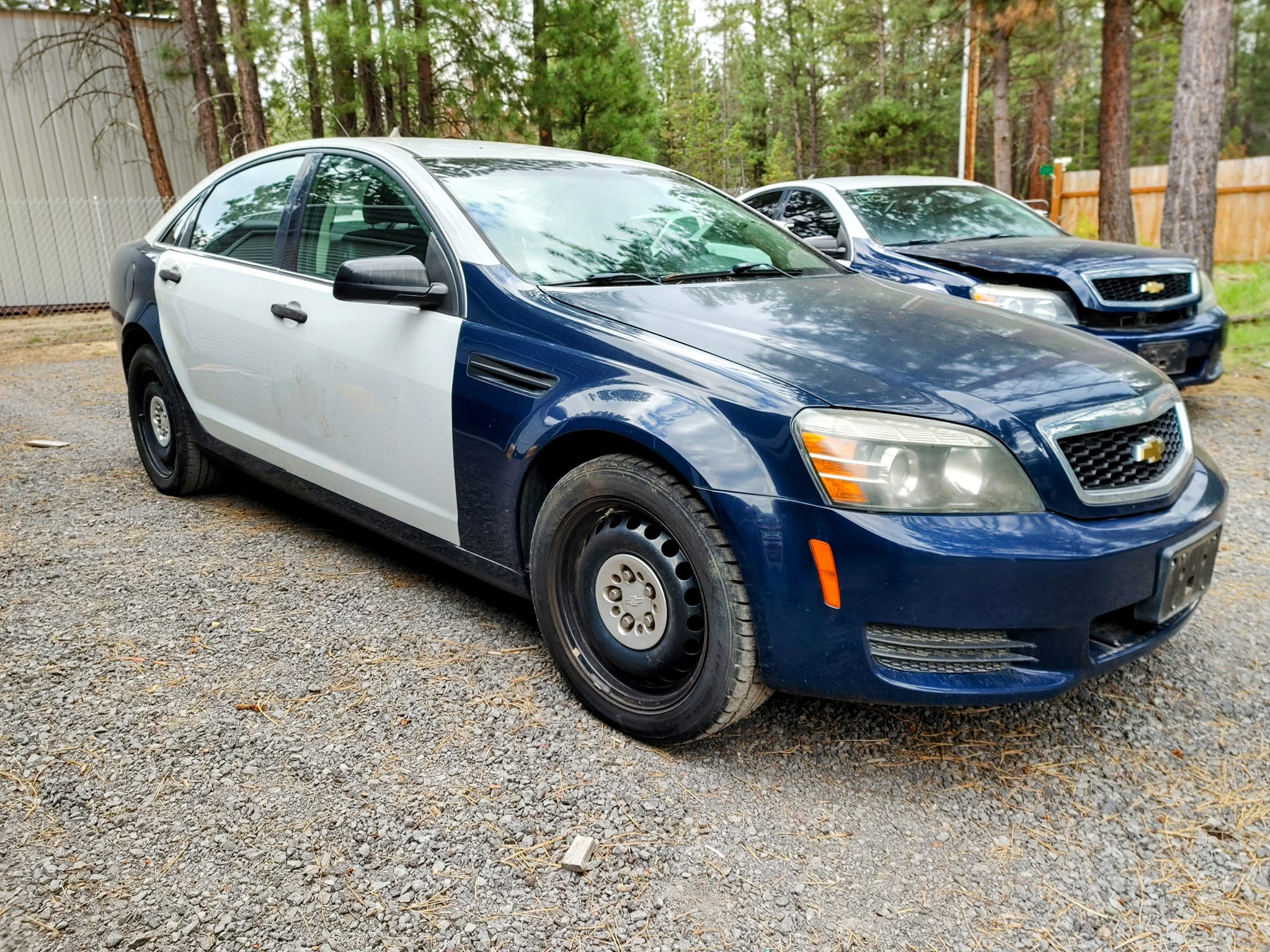 2012 Caprice PPV 6.0L V8 74k miles - InterceptorKing